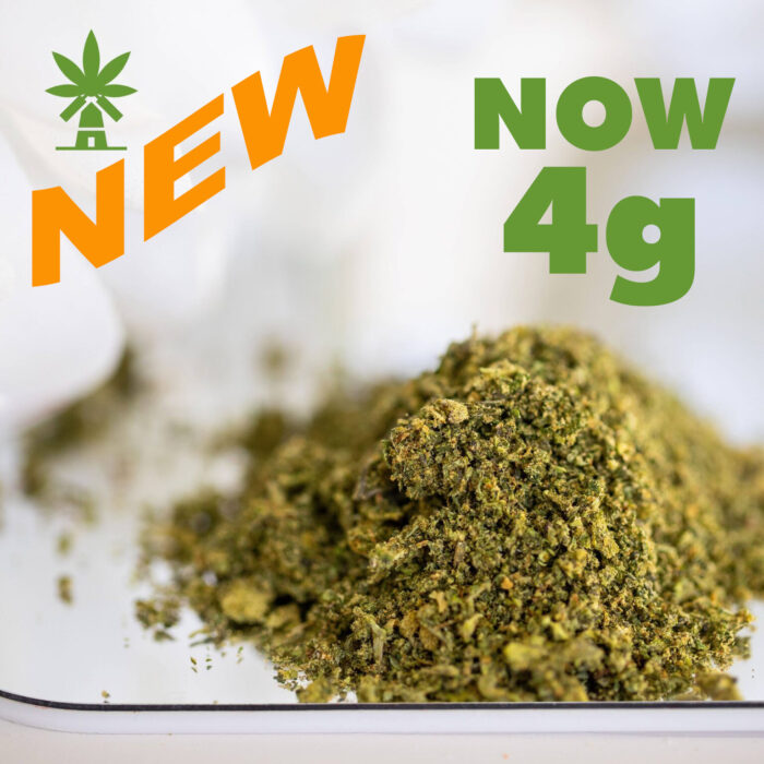 The Holland Club | Special